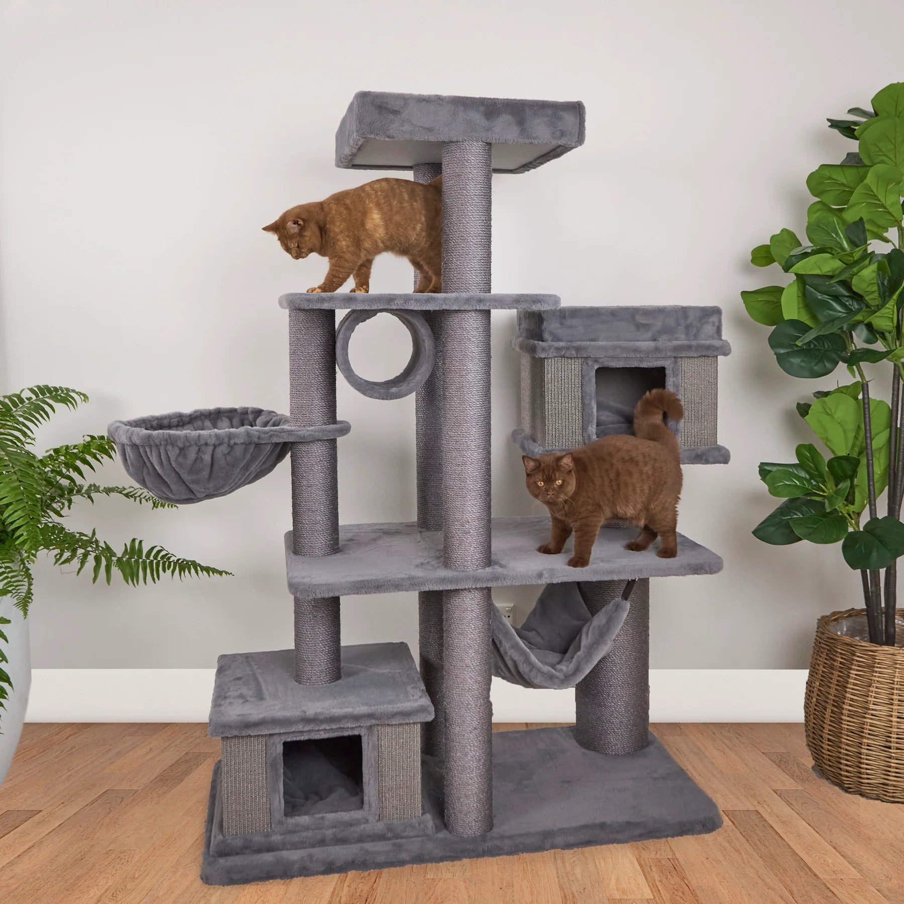 Hide & Climb Cat Tree - Grey – Petcare Warehouse