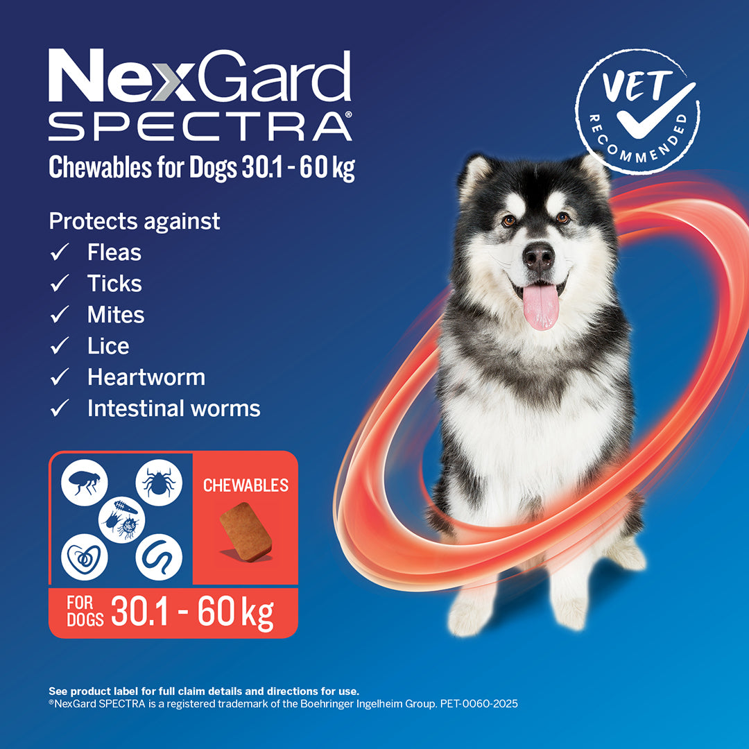 NEXGARD Spectra Red 30.1-60kg – Petcare Warehouse
